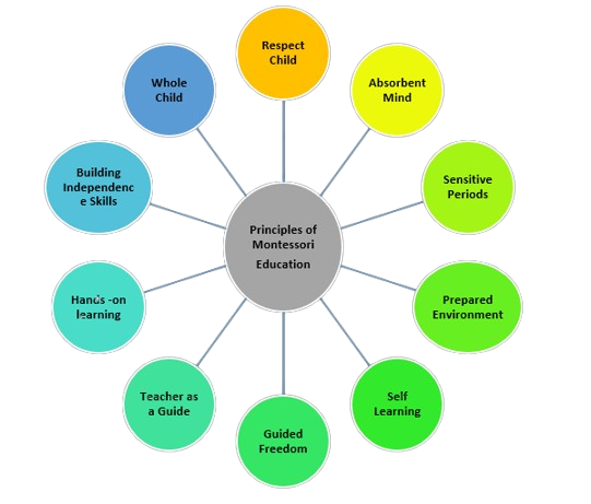 Montessori vs Traditional Preschools: How to Find the Right Fit for ...